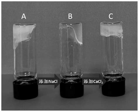 Rapidly Formed Injectable Multifunctional Hydrogel Preparation Method