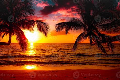 Beautiful Sunset Tropical Beach With Palm Tree And Pink Sky For Travel