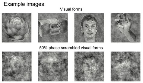 New Paper On The Impacts Of Visual Forms On Target Selection Hafed Lab