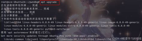 在ubuntu里面如何正确安装pwndbgpwndbg安装 Csdn博客