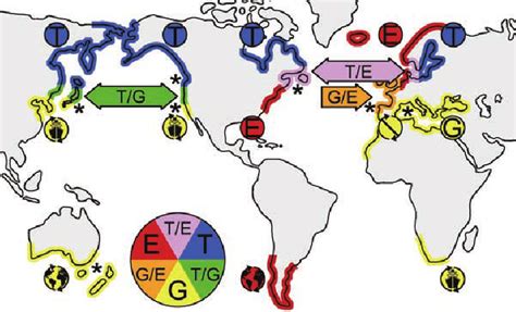 Global Distribution Of Hybridizing Mytilus Species Primary Colors Download Scientific Diagram