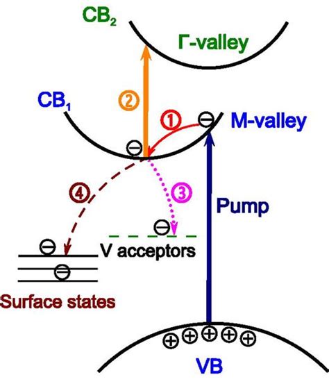 Ultrafast Bulk Carrier Recombination Transients In N Type And Semi Insulating 4h Sic Crystals