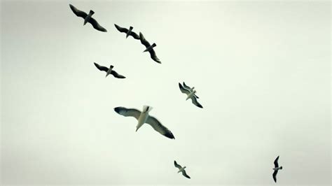 What Successful Leaders Do In Challenging Times The Truth Is That No One Factor Makes A Company