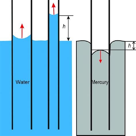 Components Of The Flat Sheet Membrane Testing Unit A Overall Picture Download Scientific
