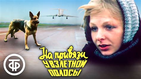 На привязи у взлетной полосы Фильм основанный на реальных событиях 1989 Youtube