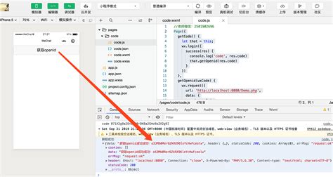 Php获取小程序openid，10行代码快速获取小程序openid获取openid 源代码下载 Csdn博客