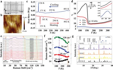 Phase Transition Characterizations For Pvk‐br A Microscopic Image Of