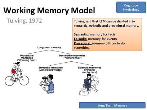 Working Memory Model Tulving 1972 Cognitive Psychology Tulving