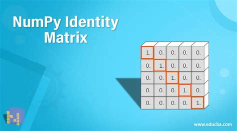 Numpy Identity Matrix Learn How Does The Numpy Identity Matrix Work