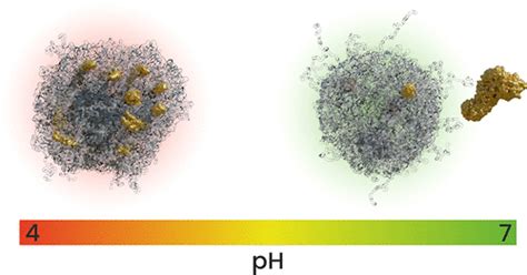 The Journal Of Physical Chemistry B Vol No ACS Publications