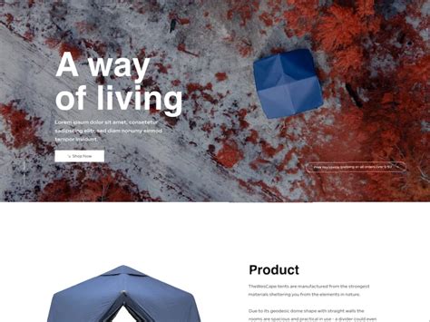 A Profitable And Highly Functional Woocommerce Store Upwork