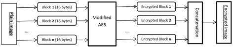 The Flowchart Of The Main Algorithm Download Scientific Diagram