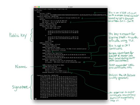 everything you should know about certificates and pki but are too