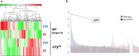 Metabolome Analysis After Ef Exposure A Hierarchical Cluster