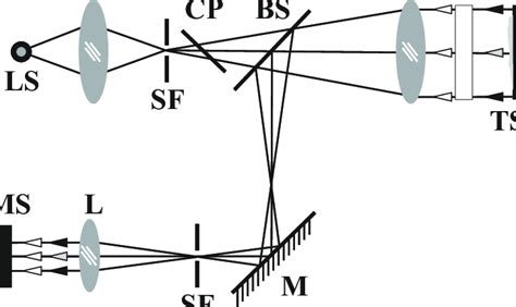 Schematic Setup Of The Employed Normal Incidence Fizeau Interferometer