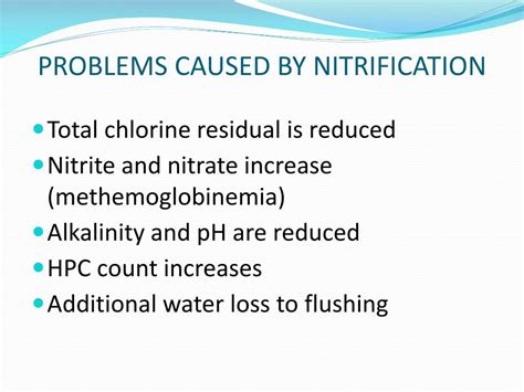 Ppt Nitrification Control In The Florida Keys Powerpoint Presentation