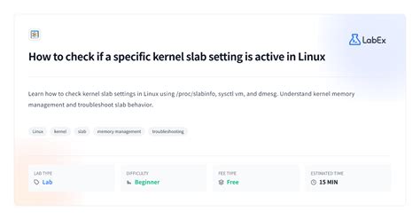 How To Check If A Specific Kernel Slab Setting Is Active In Linux Labex