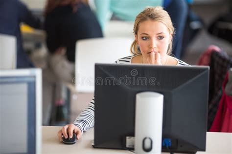 Pretty Female Babe Looking At A Desktop Computer Screen Stock Image Image Of Executive