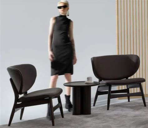 Spider Linear Concepts