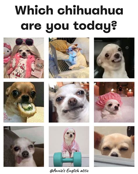 Whats Your Mood How Are You Feeling Today Choose Your Mood
