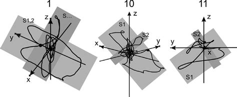 S Particle Motion Diagrams Of The Event 1 Observed At The Stations 1 Download Scientific