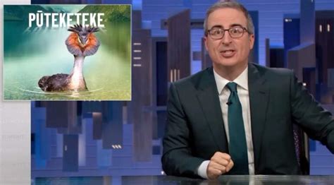 John Oliver’s Campaign Gets the ‘Puking’ Pūteketeke Bird Crowned ‘Bird of the Century ...