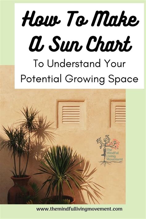 Understanding Your Growing Space With A Sun Chart