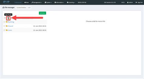 Cisco Sd Wan Eve Ng Lab Installation
