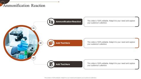 Ammonification Reaction In Ppt Powerpoint Presentation Slide Templates
