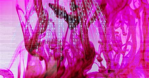 Rose Over Computer Code Program Coding And Technology Concept Stock