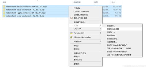 win10使用sqlldr录入大量数据到远程oracle数据库 sqlldr exe配置 csdn博客