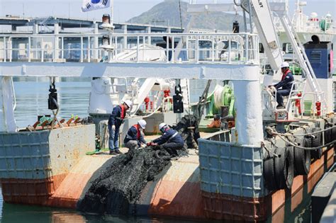 부산시 Occ 해양 국제회의 앞두고 해양 쓰레기 수거 캠페인 노컷뉴스