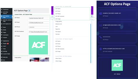 Divi Dynamic Content Extended Divi Booster