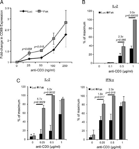 TCR Induced Effector Functions Are Enhanced In FAK Deficient T Cells Download Scientific