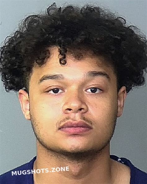 Villa Jamari R 06 17 2023 Manatee County Mugshots Zone