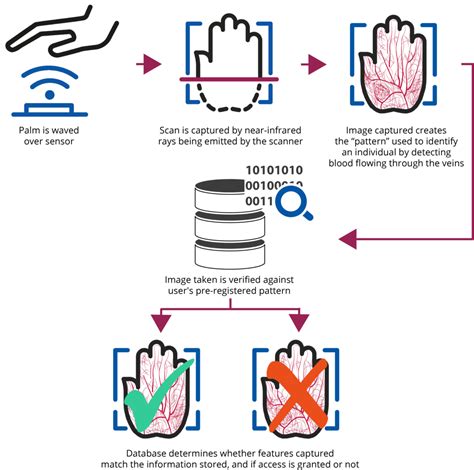 The Benefits Of Palm Vein Identification Argus Trueid