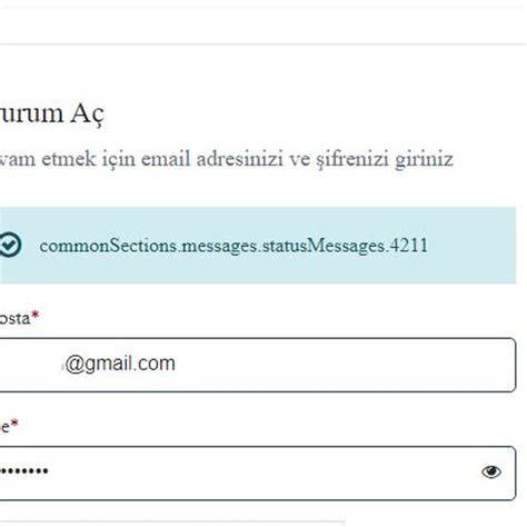 Vfs Global Vize Randevusu Sistem Hatası Şikayetvar