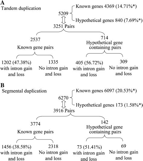 Expansion Of Hypothetical Genes By Both Tandem And Segmental Download Scientific Diagram