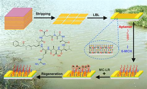 Label Free Chemiresistive Sensors Based On Self Assembled Ti3c2tx Mxene Films For Monitoring Of