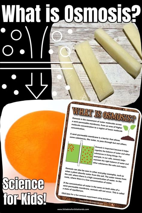 Concentration Science Examples