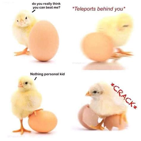 Me Cracking Eggs In The Local Area R Traaaaaaannnnnnnnnns