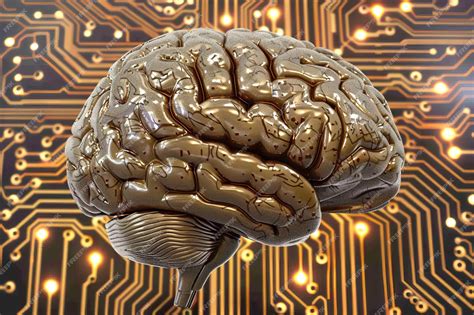 Digital brain illustration on a circuit board background representing ...