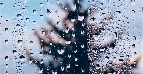 가벼운 고독 고요함 관념적인 구름 깨끗한 날씨 대조 떨어지는 맑은 물 미니멀리즘 바람막이 창 반사 배경을 흐리게 부드러운 분위기 비 빗방울