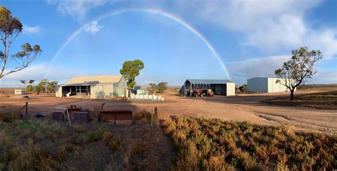 Karl Pfitzner Karl Pfitzner Twitter