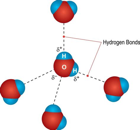 Intermolecular Forces Intermolecular Forces Dp Ib Chemistry Revision
