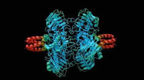 molecular nodes — blender extensions
