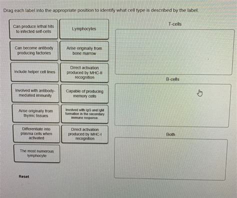 38 drag each label into the appropriate position to match the tissue