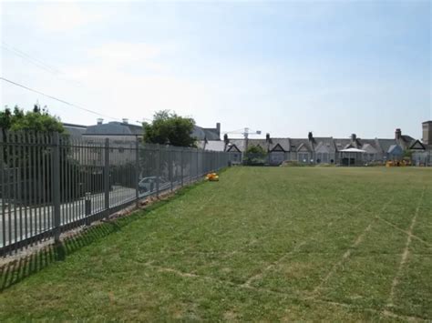 Morice Town Primary School Plymouth Tree People