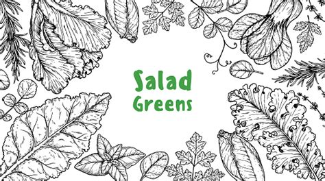 샐러드 채소 스케치 세트 손으로 그린 벡터 그림입니다 요리 샐러드 비건 음식 건강한 생활방식에 대한 스톡 벡터 아트 및 기타 이미지 건강한 생활방식 건강한 식생활
