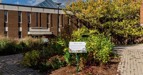 Accelerating Integration Of Sustainability Into The Curriculum Project Sustainability